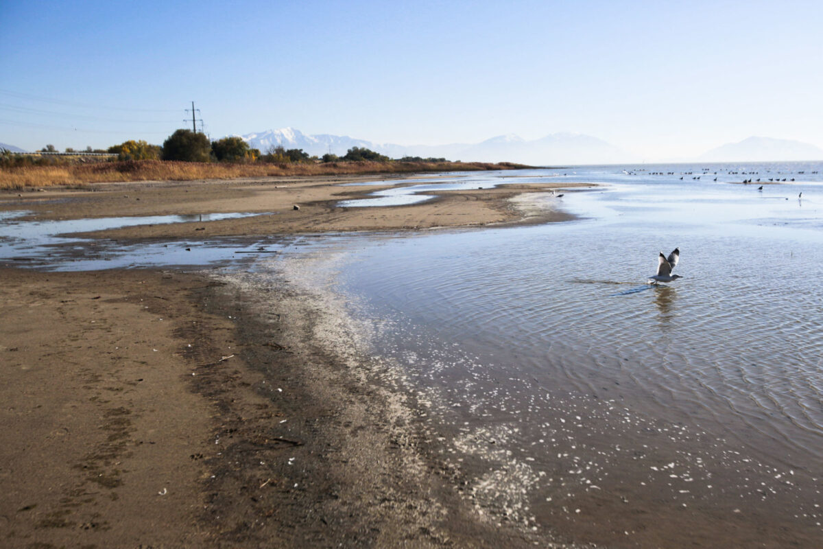 Warning advisory issued for Utah Lake in Provo Bay area | News, Sports ...